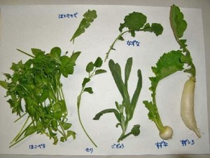 Festival de las siete hierbas – 七草の節句(nanakusa no sekku) en Una ...